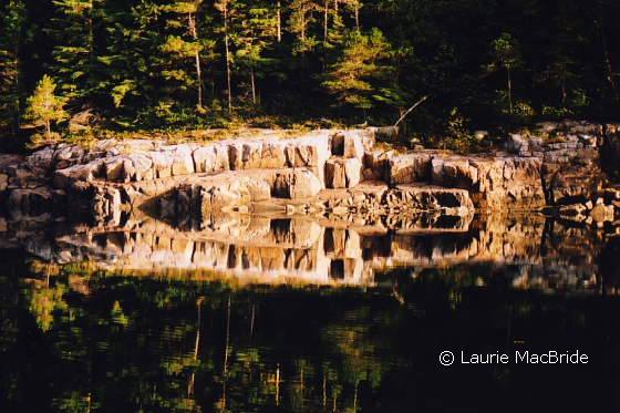 Totem shore, Crease Island | Eye on Environment