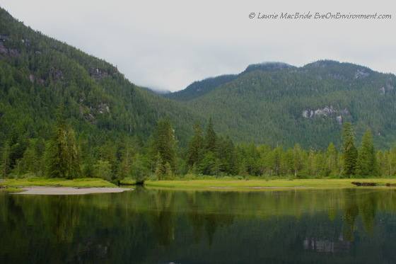 Delta, Alison Sound | Eye on Environment